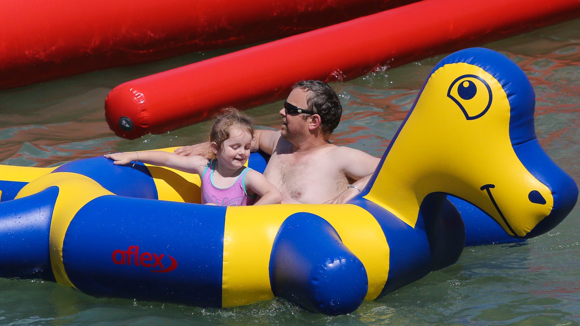 Ringo - Inflatable Pool Toy – Aflex Inflatables